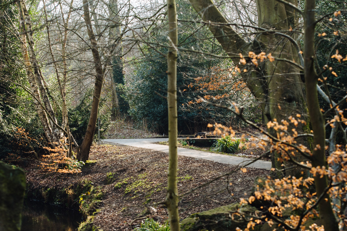 Meanwood - Welcome to Leeds