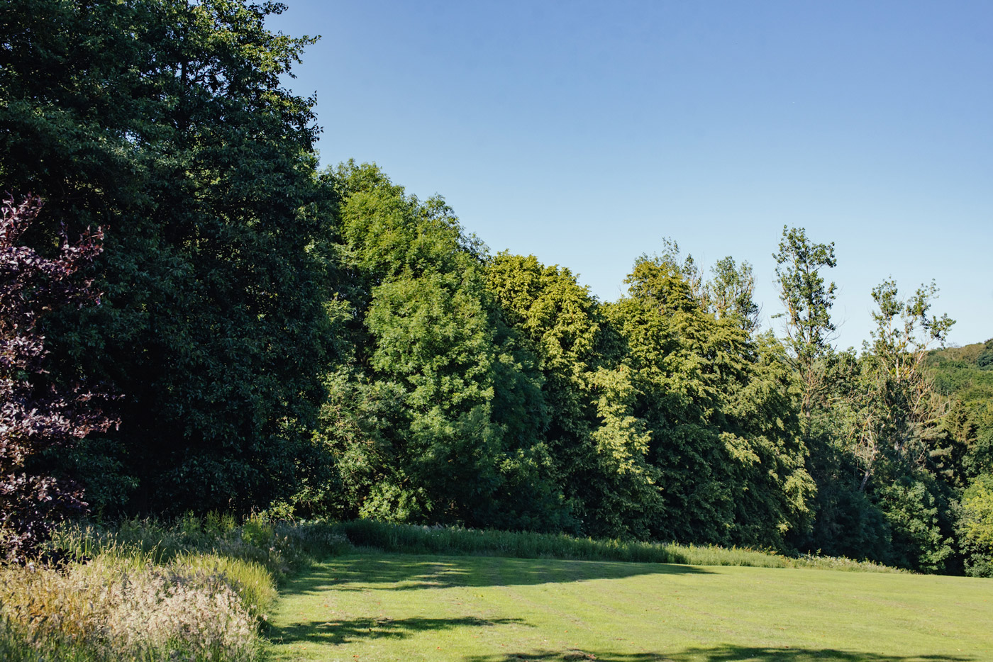 Harehills - Welcome to Leeds