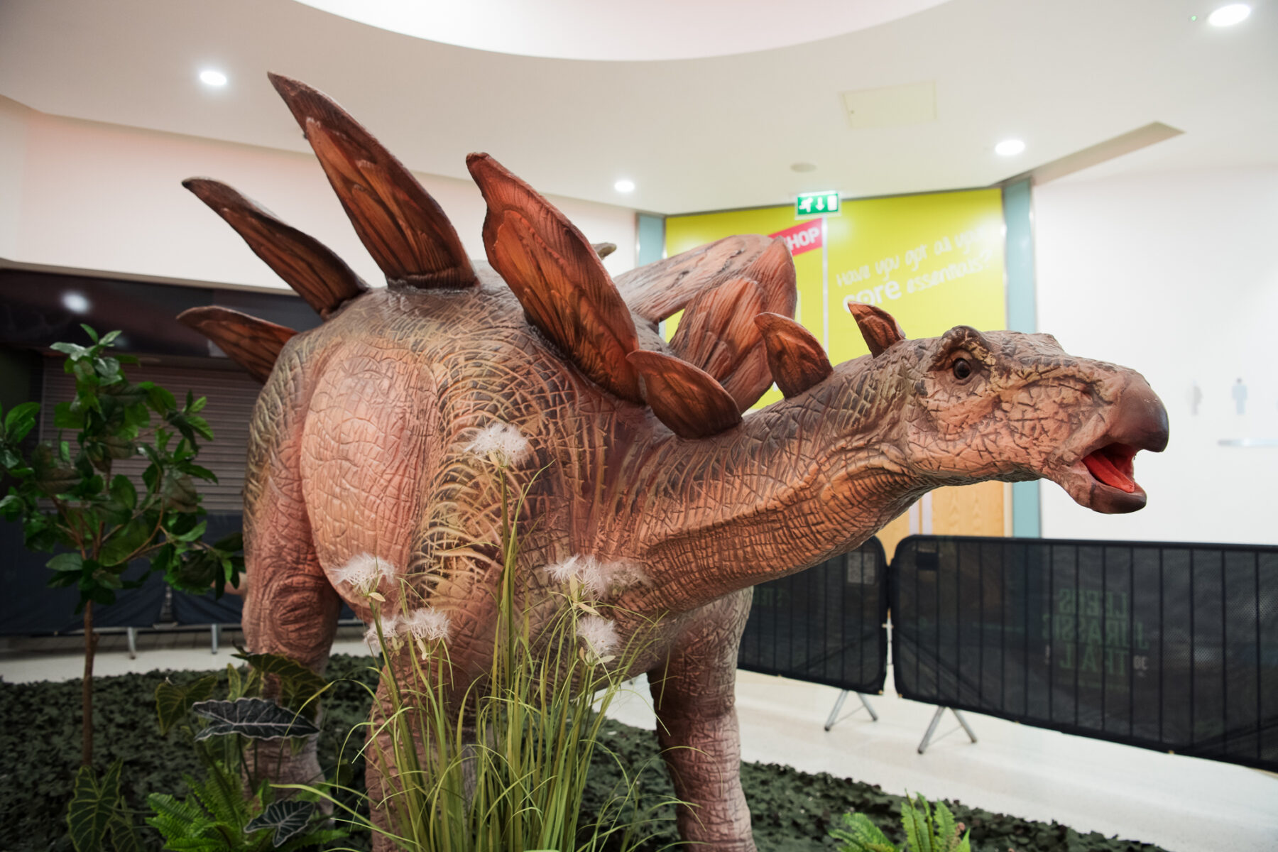 Dinosaurs unleashed on Leeds in UK’s biggest free trail of its kind ...