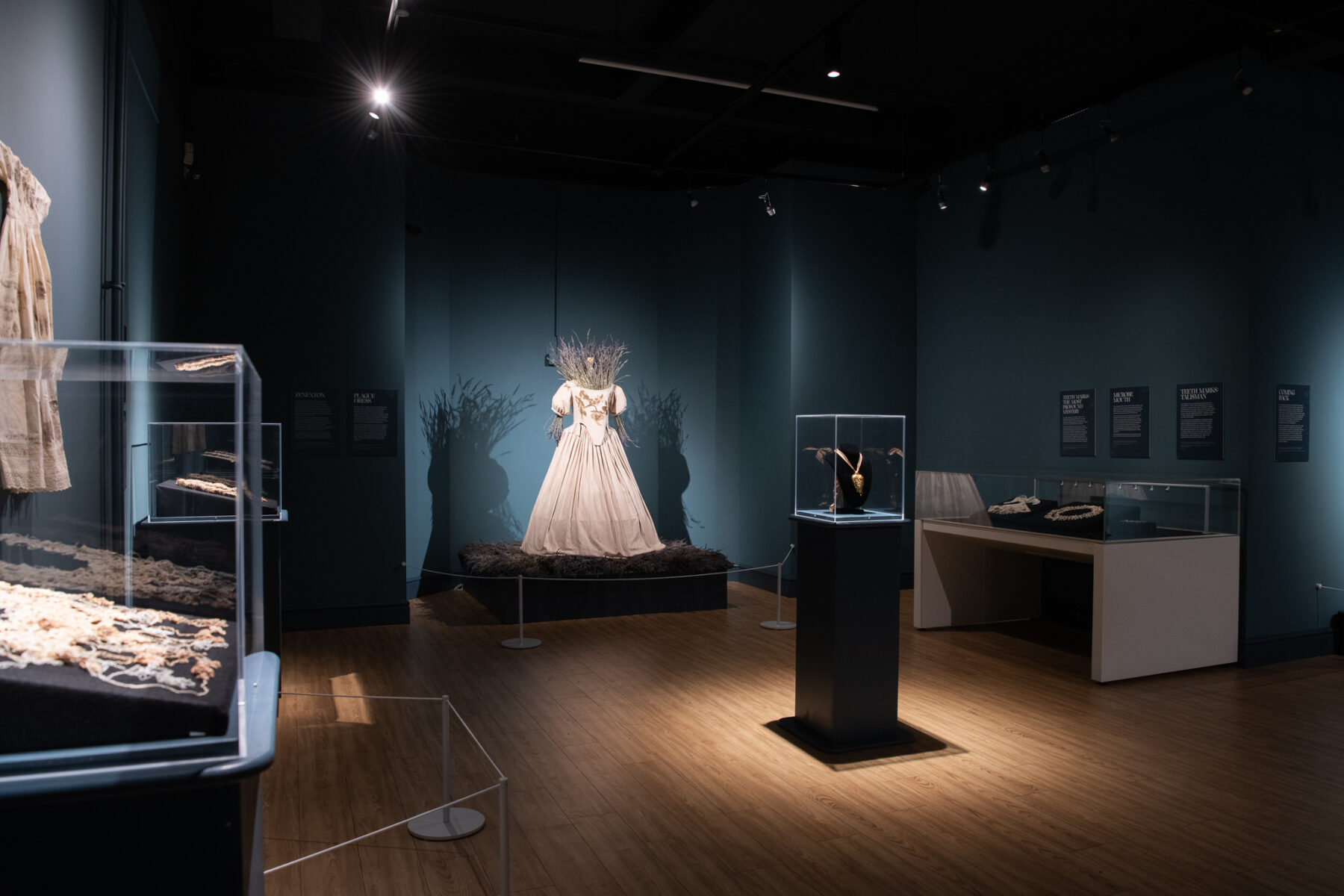 Biology mixing with art as new exhibition is launched - Welcome to Leeds