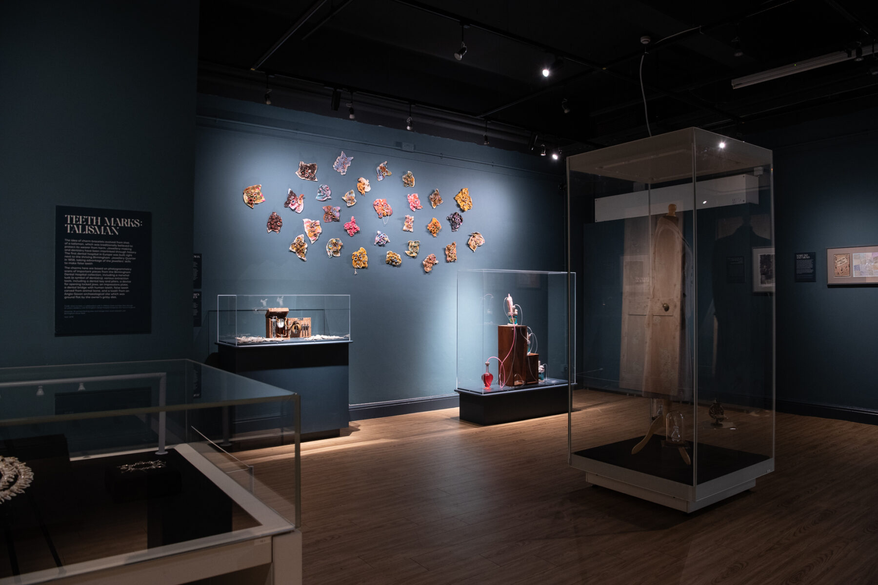 Biology mixing with art as new exhibition is launched - Welcome to Leeds